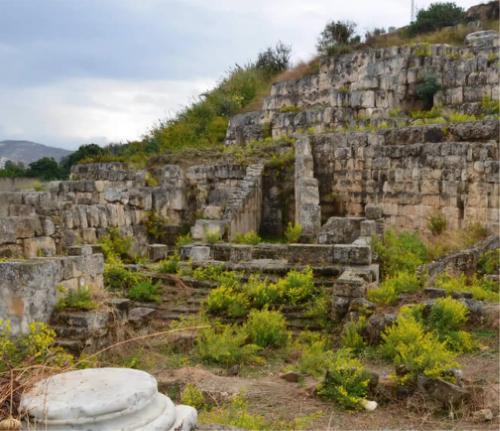 About Us : Bustan El Zeitoun